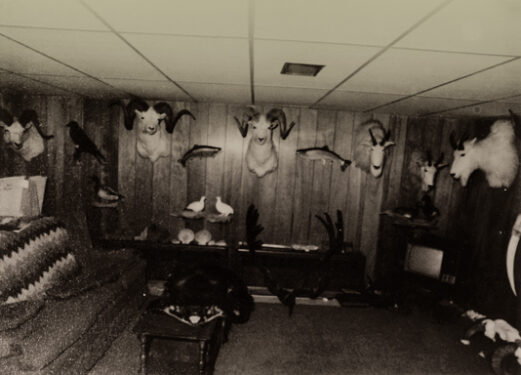 hansen_basement The trophy room in Robert Hansen’s basement. (Alaska ...